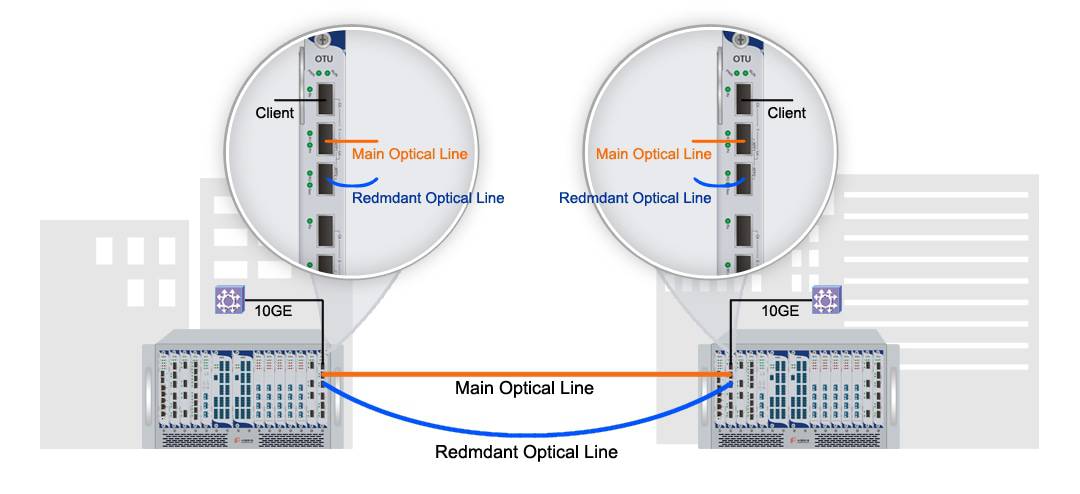 10G Transponder with OLP 6×XFP/SFP+ | Fiberroad Technology
