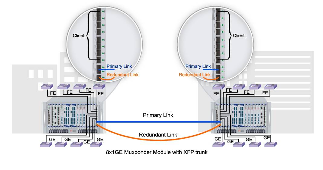 10G Muxponder with Trunk Redundant | Fiberroad Technology