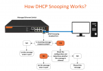 What is DHCP Snooping And Why Should You Use It? | Fiberroad