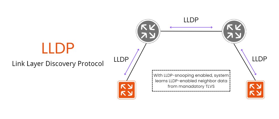 LLDP vs CDP Discovery Protocol: Understanding the Differences